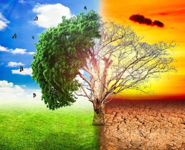 Framing Climate Change