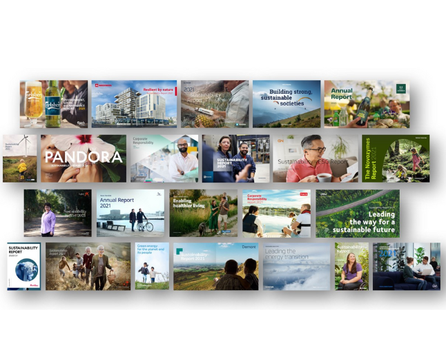 Hvad er best practice i ESG-rapportering?