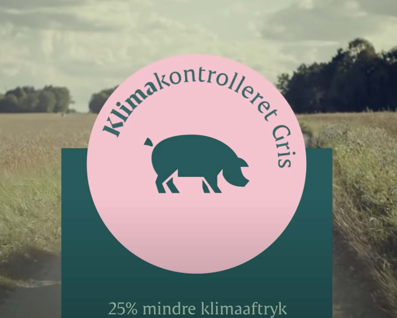 Kampagne blev til k-stormvejr